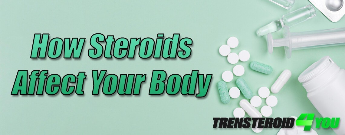 The Effects of Steroids on the Body: Myths and Reality